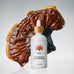 Reishi Adaptogen Mushroom Tincture | Rainbo
