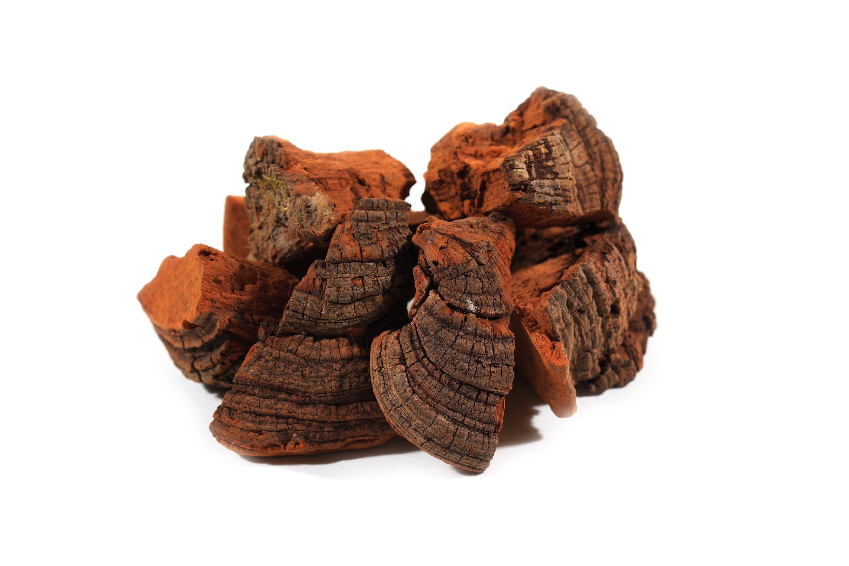 Rainbo | Our Mushrooms